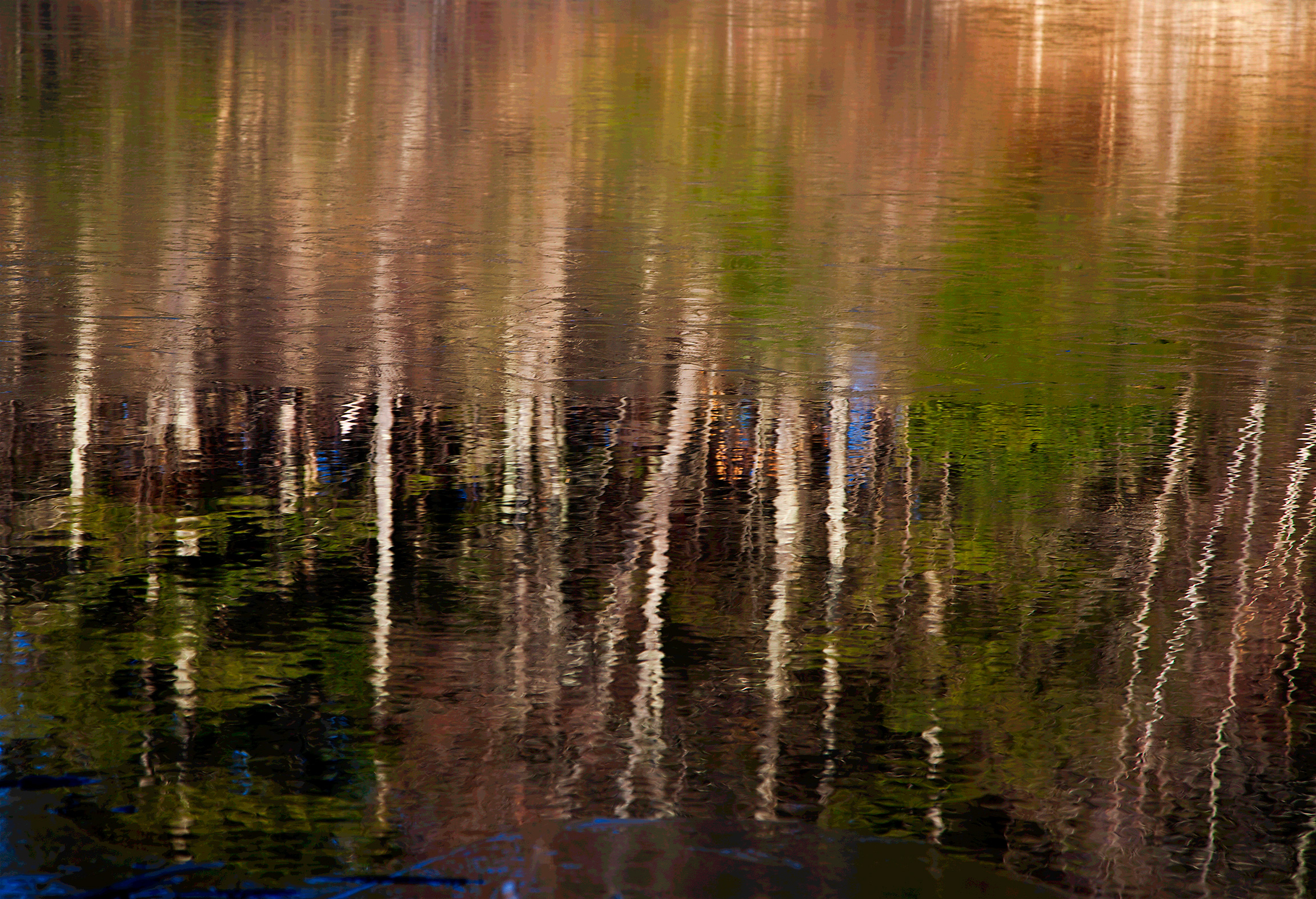A Sign of Hope - Dutch goes the Photo!