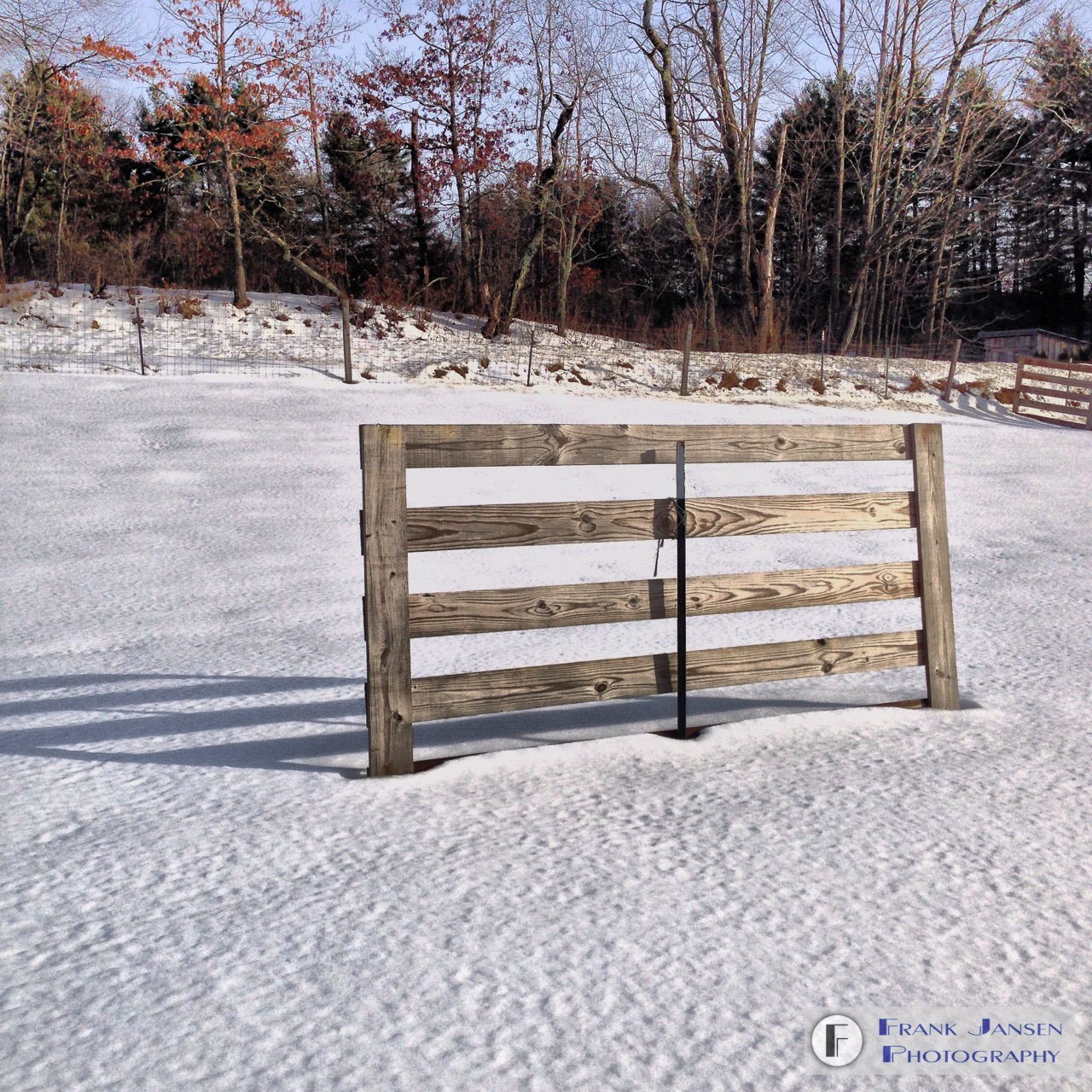 Ready for Spring - Dutch goes the Photo!