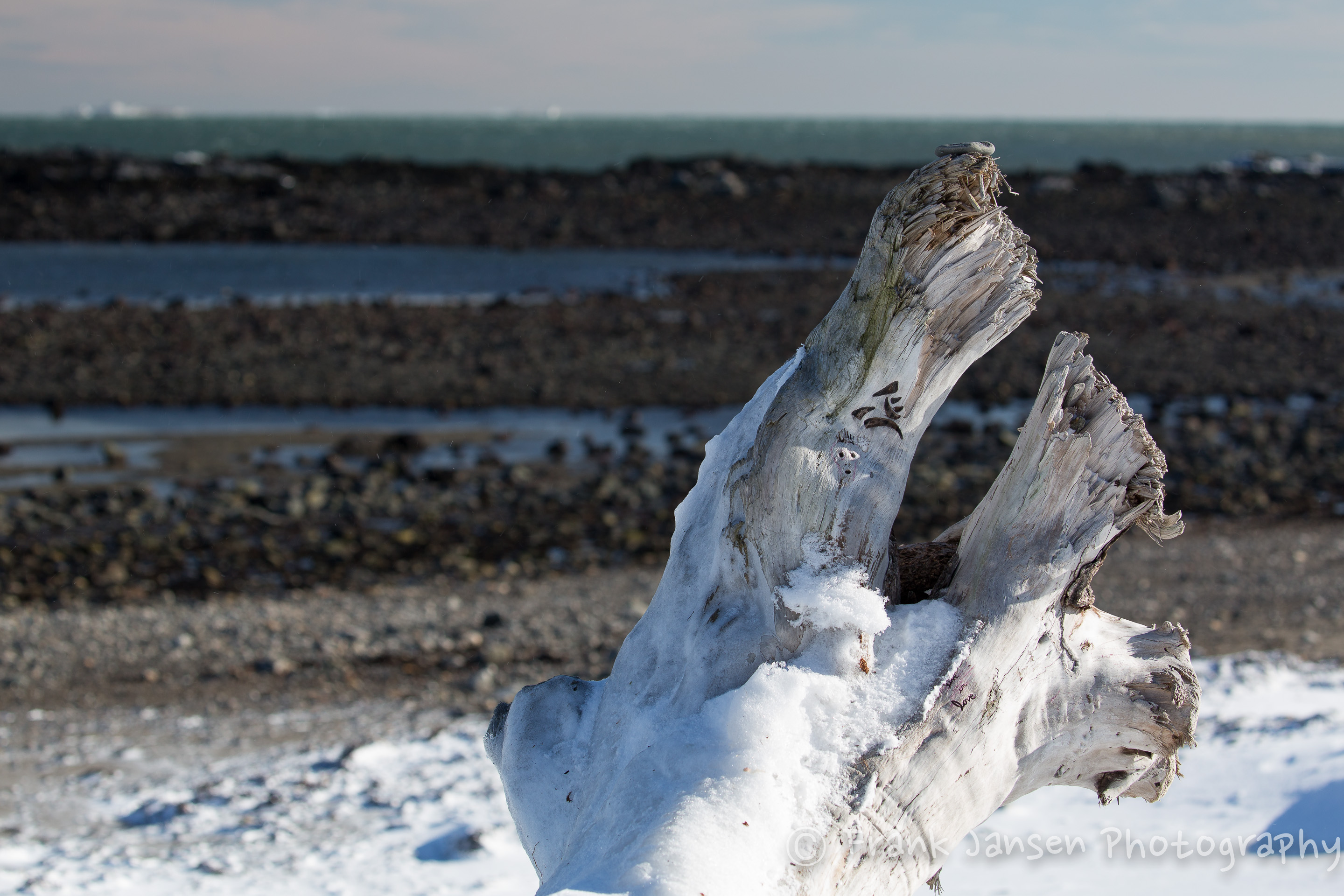 Weathered on the Beach - Dutch goes the Photo!
