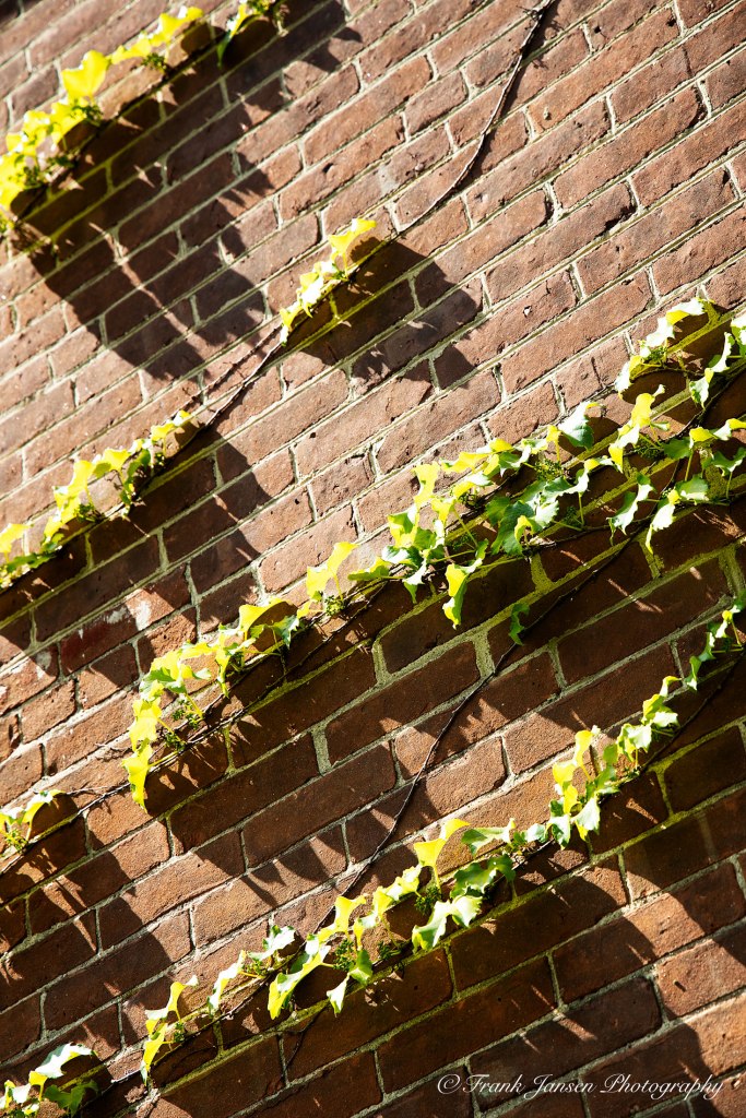 Tuesday Photo Challenge - Wall - Dutch goes the Photo!