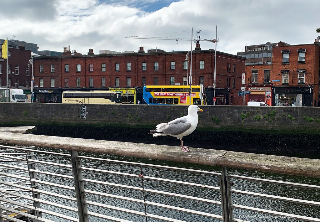 A Walk around Dublin - Dutch goes the Photo!