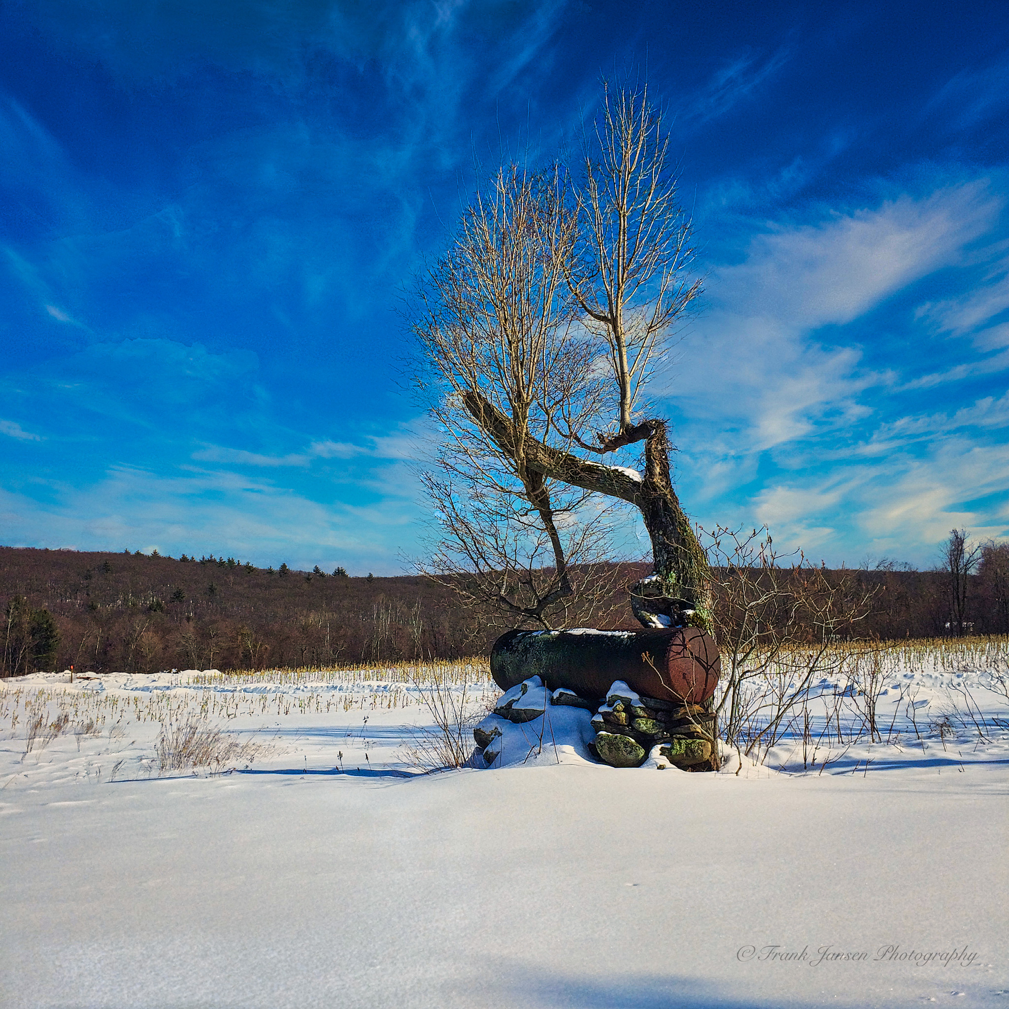A Clear Winter’s Day – Dutch goes the Photo!
